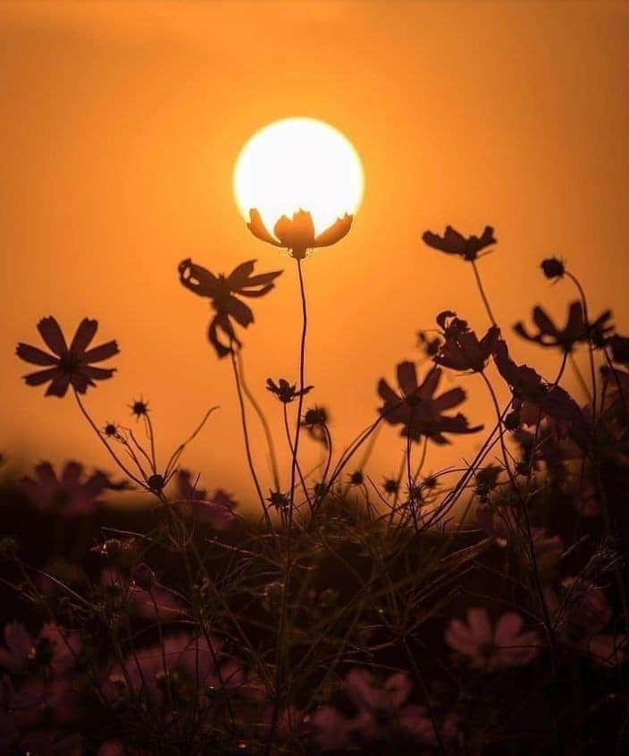 성경진리사역원(BTMK) | 바울 복음의 특징